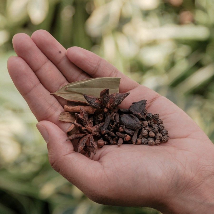Indian Spices - Best Wellness Retreats in India | Raga Svara