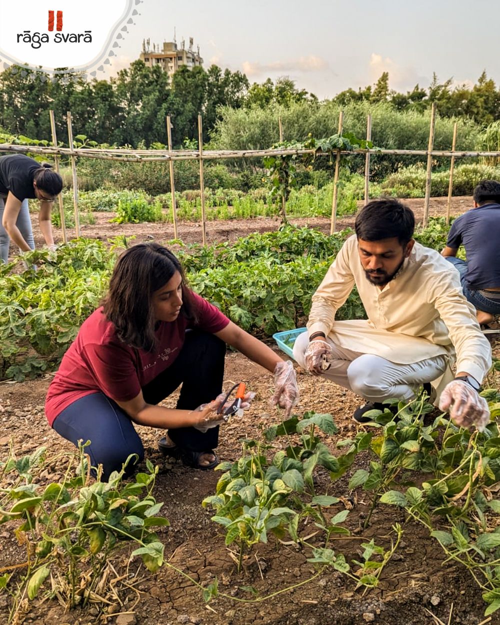 Mindful Gardening Sessions